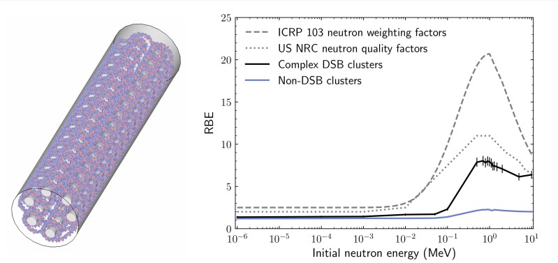 NICE: Monte Carlo modelling of neutron RBE | KILDEA LAB