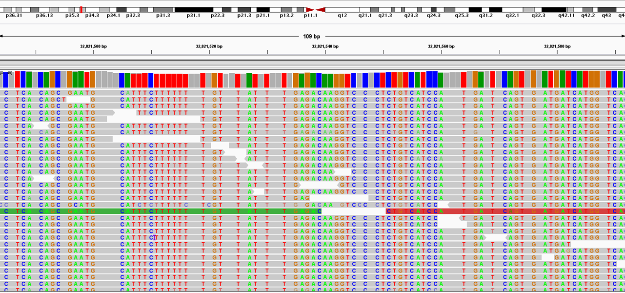 NICE: Determination of mutation signature of high-LET radiation ...